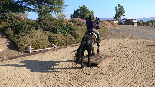 Hidden Hills Equestrian Ranch | Ride The Horse