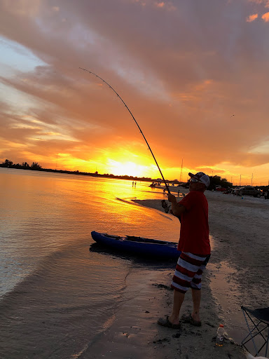 Gandy Beach Mangroves in St. Petersburg, Florida - Zaubee