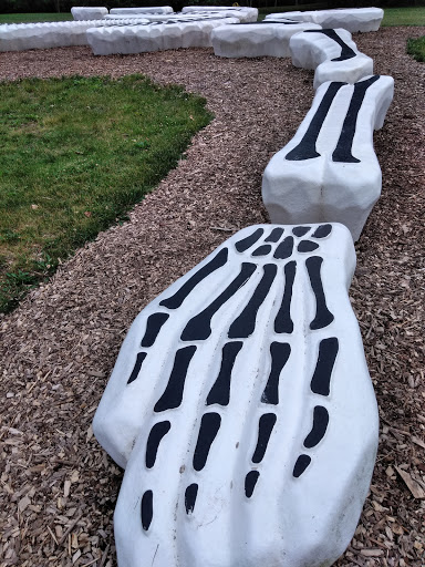 Tourist Attraction «Funky Bones», reviews and photos, 1850 38th St ...