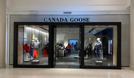 Canada Goose Minnesota - AZexplained