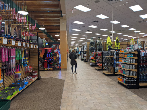 SCHEELS - AZexplained