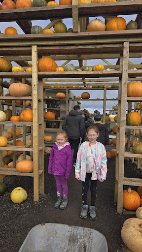 Tulip Festival @ Lower Drayton Farm