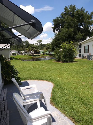 Kings and Queens - AZexplained