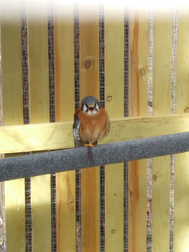 Nature Preserve «Iowa Raptor Center», reviews and photos, 2095 Mehaffey ...