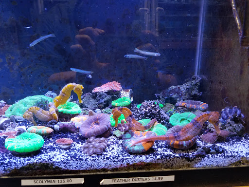 Tropical Fish Store «Austin Aqua-Dome», reviews and photos, 1604 ...