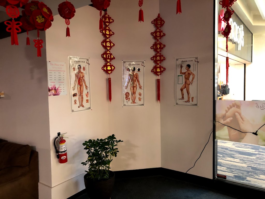 Lily Spa - St Clairsville, OH 43950 - Services and Reviews