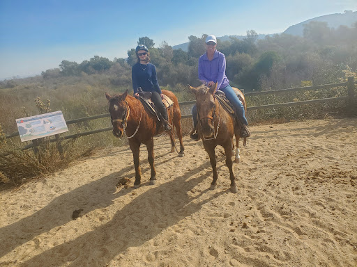 Blanco Brothers Ranch | Ride The Horse