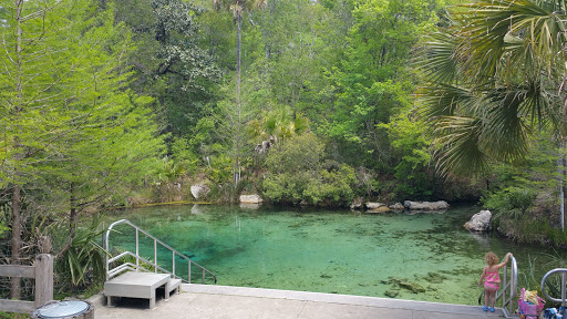 Tourist Attraction «Pitt Spring Recreation Area», reviews and photos ...