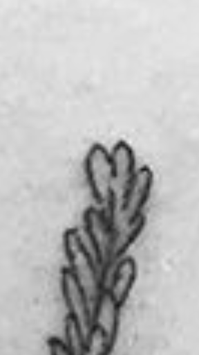 Tattoo Shop «Moon Sheen Tattoo», reviews and photos, 184 West 4th ...