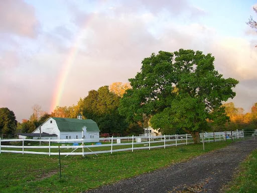 Maple View Farm - AZexplained