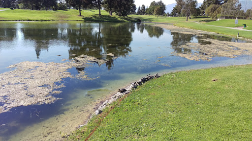 Golf Course «Alhambra Golf Course», reviews and photos, 630 S Almansor ...