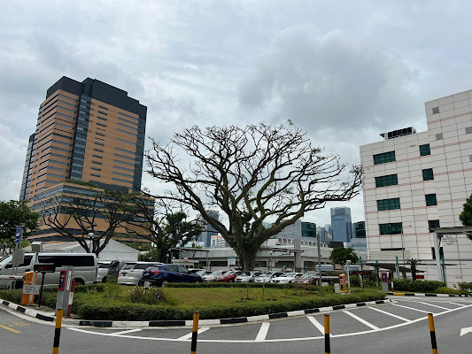 Sgh Blocks 6 7 - Info Opening Hours, Address and Latest Visitor Reviews ...