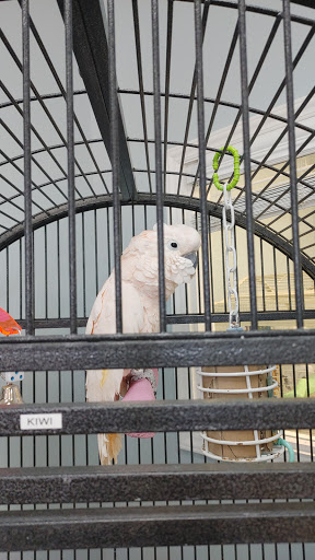 Parrot University - Supplies, Education & Boarding - Charlotte, NC