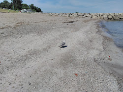 Sheffield Lake Beach 🏖️ Ohio, United States - detailed features, map ...