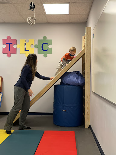 TLC Occupational Therapy, LLC in Purcellville, Virginia - Zaubee