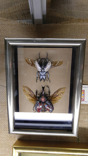 Museum «Insectropolis», reviews and photos, 1761 U.S. 9, Toms River, NJ ...