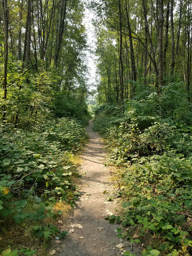 Nature Preserve «Black River Riparian Forest and Wetland», reviews and ...