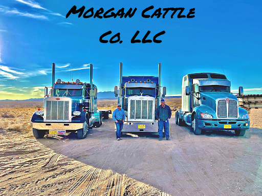 Morgan Cattle Company LLC - AZexplained