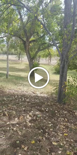 Museum «Slaughter Ranch Museum», reviews and photos, 6153 Geronimo Trl ...