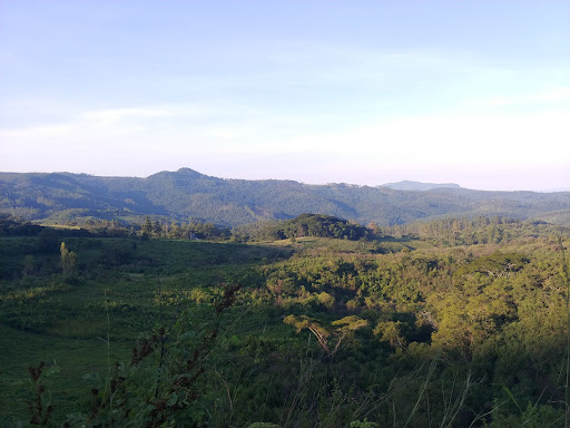 Bvumba Mountains in - Zaubee