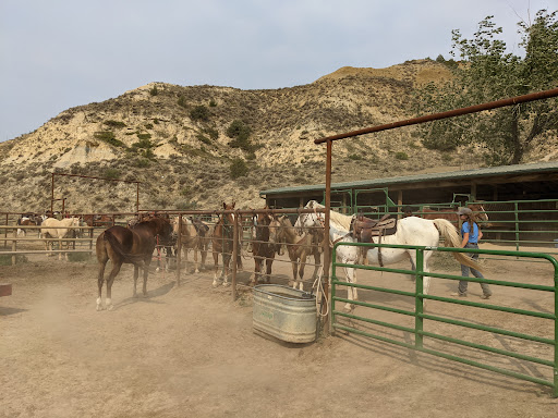 Medora Riding Stables - Pacific Ave, Medora, North Dakota - Zaubee