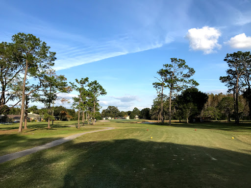 Golf Club «Apollo Beach Golf Club», reviews and photos, 801 Golf and ...