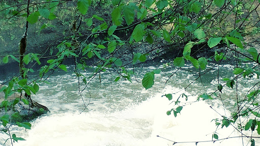 American Football Field «Doc Harris Stadium», reviews and photos, 1125 ...