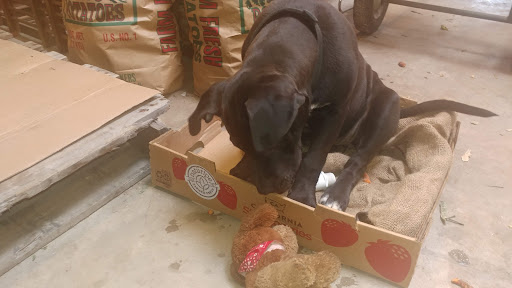 Krowicki's Farm Market - AZexplained