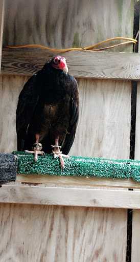 Nature Preserve «Iowa Raptor Center», reviews and photos, 2095 Mehaffey ...