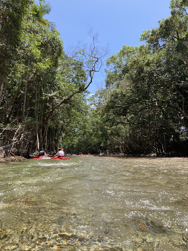 Mossman Gorge Adventure Day - Back Country Bliss Adventures