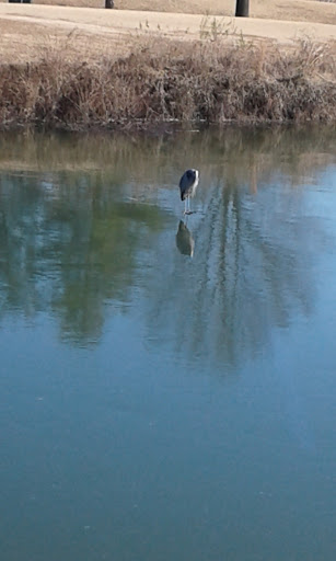 Public Golf Course «Ted Rhodes Golf Course», reviews and photos, 1901 ...