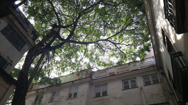 29 avaliações sobre Banco de Sangue da Santa Casa de Misericórdia ... 29 avaliações sobre Banco de Sangue da Santa Casa de Misericórdia ...
