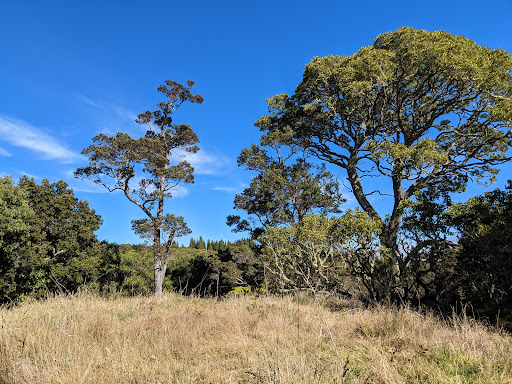 Hakalau Forest National Wildlife Refuge - AZexplained