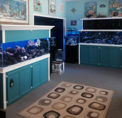 Tropical Fish Store «Amazing Aquarium», reviews and photos, 2330 S Nova ...