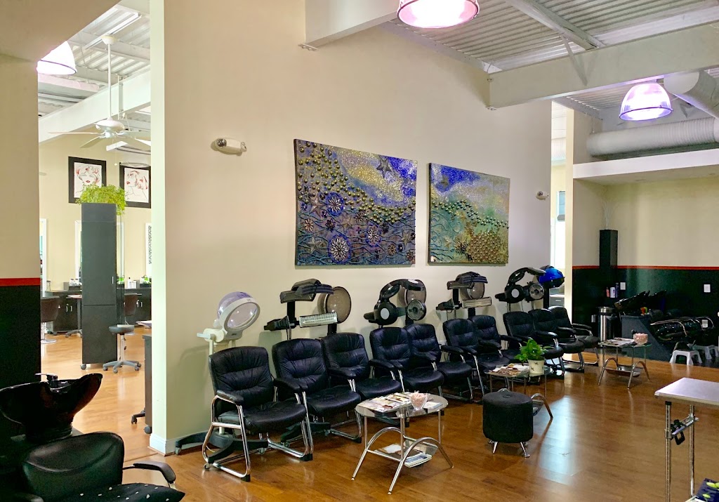 Salon Beyond Basics - Wilmington, NC 28403 - Services and Reviews