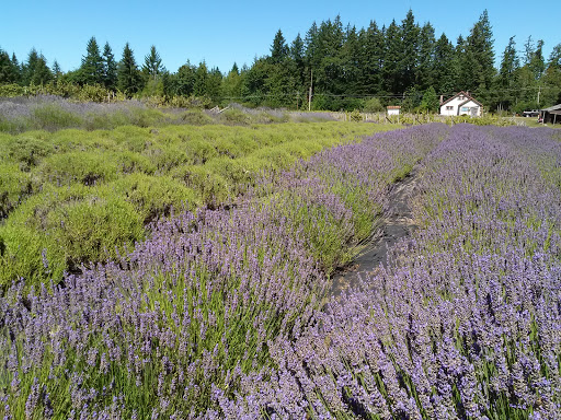 Winery «Stringtown Cellars», reviews and photos, 39610 Eatonville ...