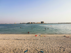 Turtle beach 🏖️ Maydarah, Ras al-Khaimah, United Arab Emirates ...