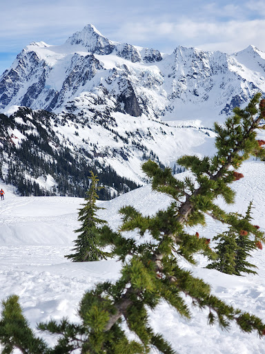 Artist Point in Deming, Washington - Zaubee