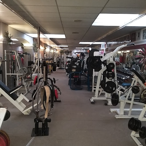 Olympia Gym – Revisión & Opiniones – Gimnasios en España