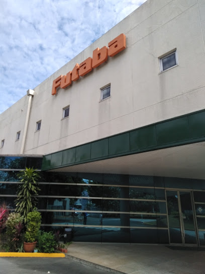 Tong Hsing Electronics (Phils.) Inc. - 4029, Plant 2, 103 Prosperity ...