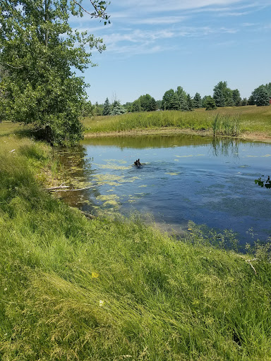 Golf Club «Oak Run Golf Club», reviews and photos, 4185 Lake Ave ...