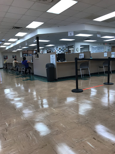 ServiceArizona - AZexplained