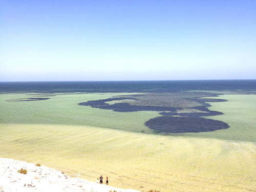 The Whalebone Road Beach 🏖️ Shark Bay Shire, Australia - detailed ...