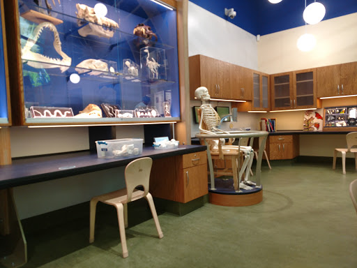 Natural History Museum «Florida Museum of Natural History», reviews and ...