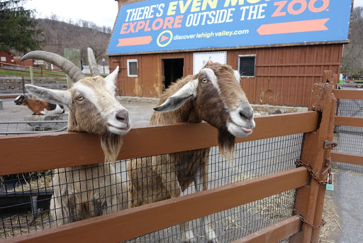 Zoo «Lehigh Valley Zoo», reviews and photos, 5150 Game Preserve Rd ...