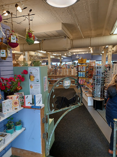 The Grasshopper Shop - AZexplained