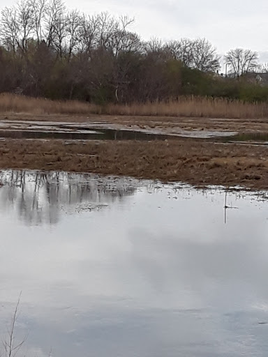 Park «Pickman Park», reviews and photos, 20 Lincoln Rd, Salem, MA 01970 ...