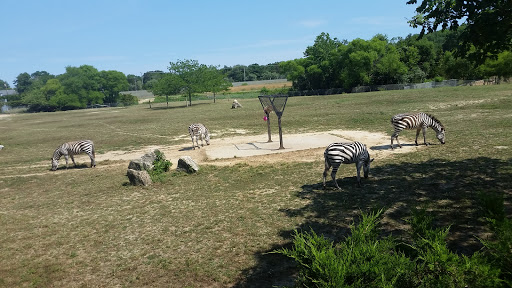 Golf Club «Stone Harbor Golf Club», reviews and photos, 905 U.S. 9 ...
