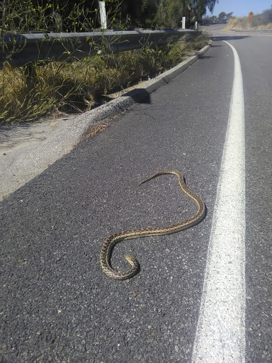 Nature Preserve «San Ramon Reserve», reviews and photos, San Ramon Dr ...