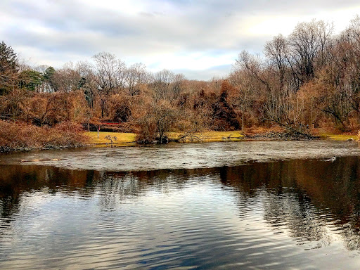 Park «Allison Pond Park», reviews and photos, 406 Prospect Ave, Staten ...
